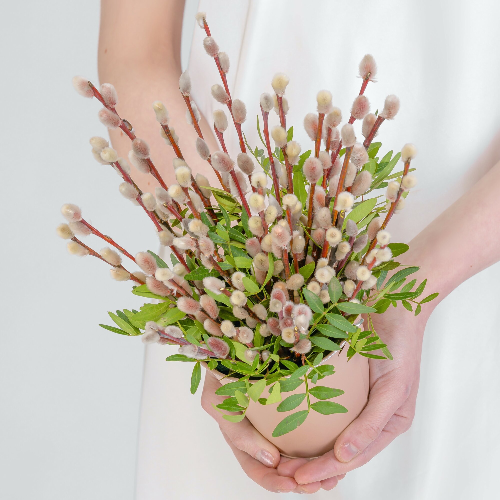 Букет Мегацвет24 "Верба", серебристый, 3 пучка в ведерке на пиафлоре