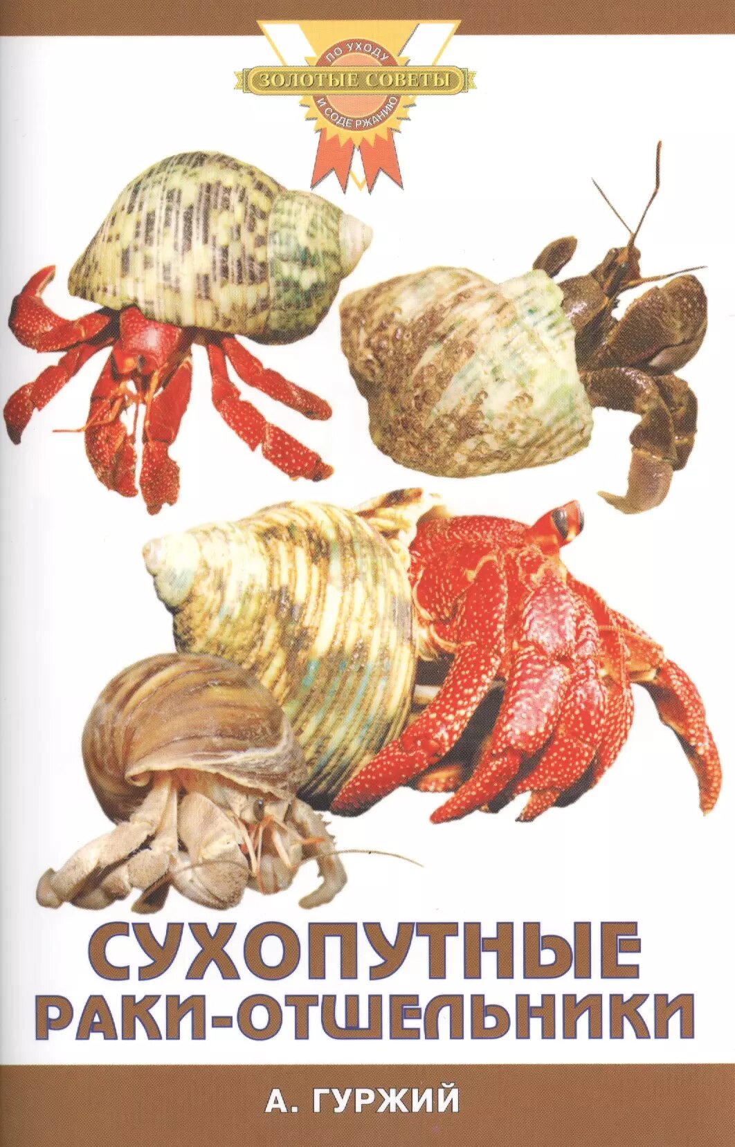 Сухопутные раки-отшельники (цвет)