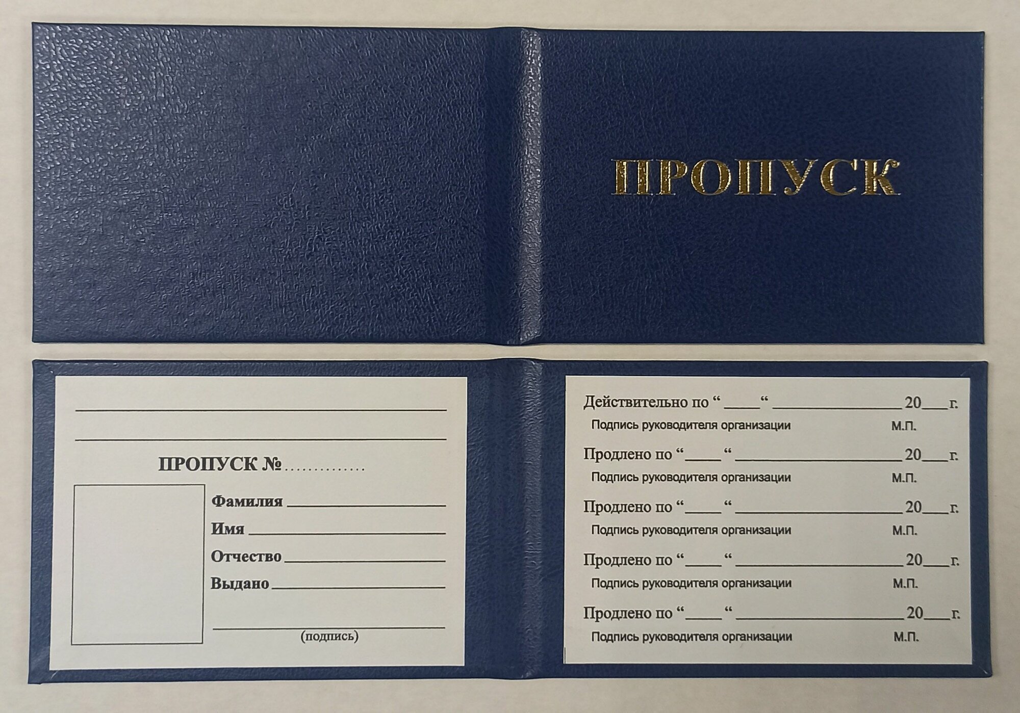 Пропуск бланк (5шт.), синий , 95х65 мм