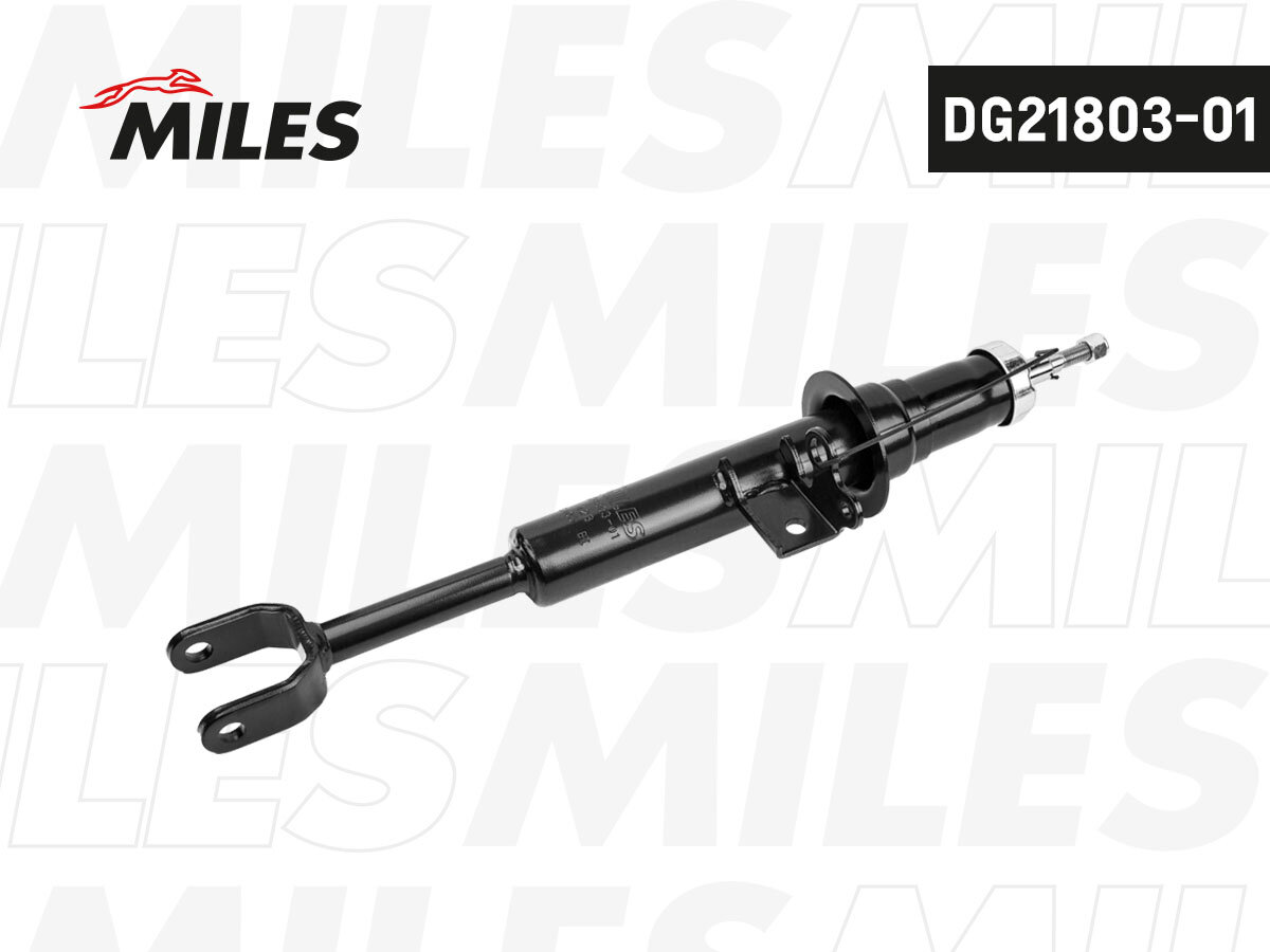 Амортизатор BMW 5 (F10) 10- пер. прав. газ. DG21803-01