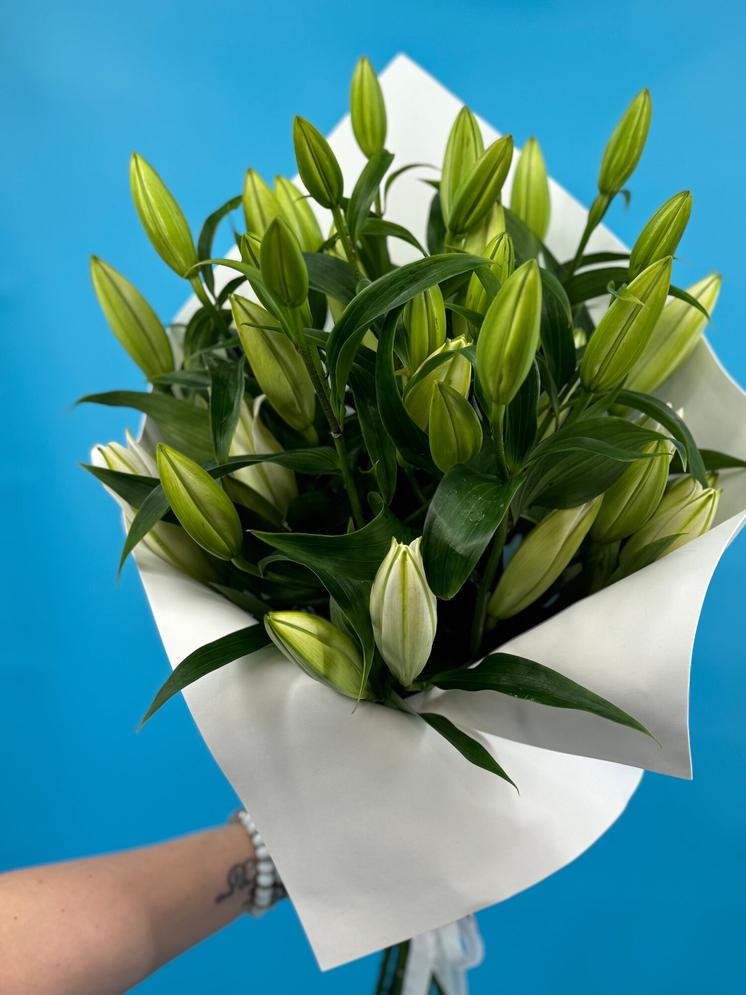 Букет цветов "Королевский букет" из 7 голландских лилий белого цвета