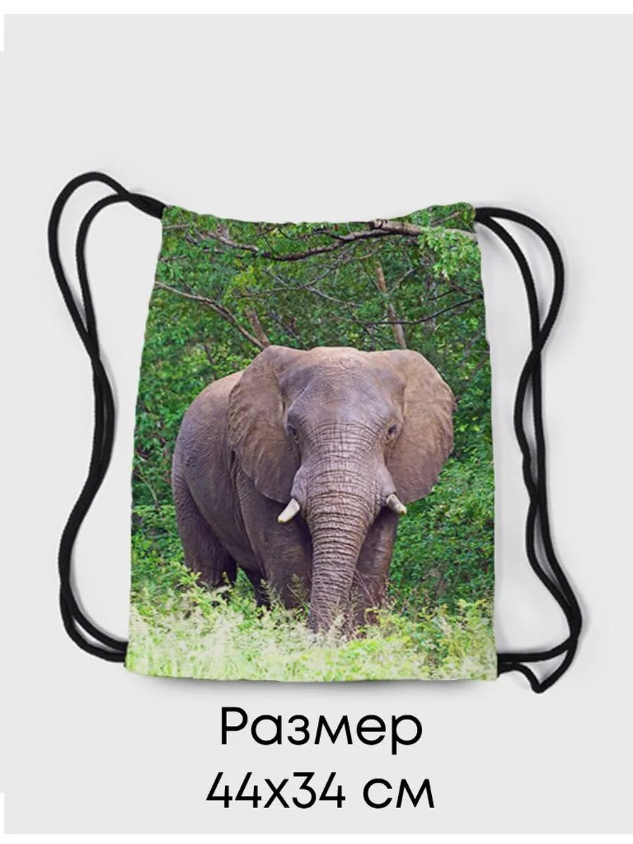 Мешок - сумка для обуви Слон — фото 1