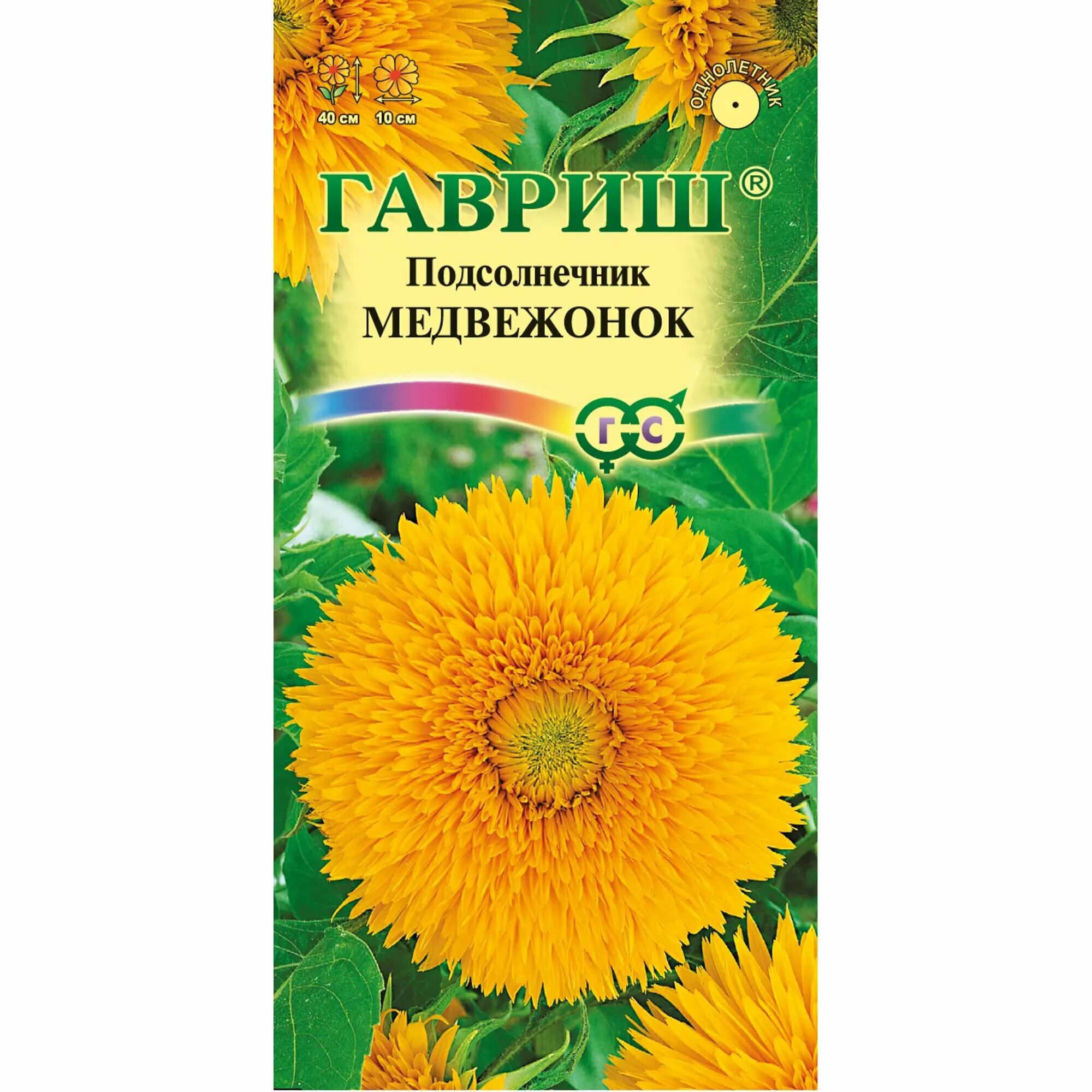 Семена декоративного подсолнечника Медвежонок устойчивый к засухе сорт для сада