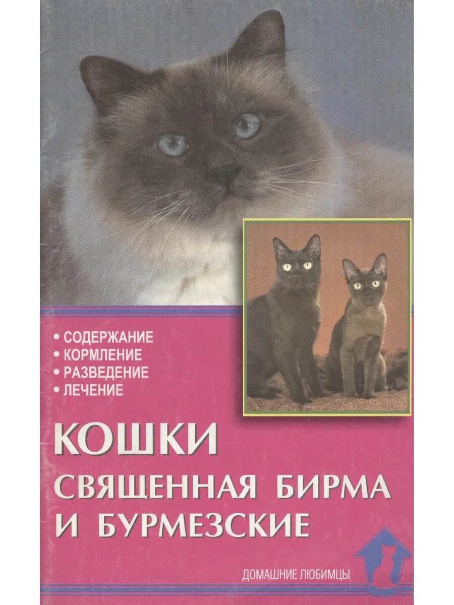 Кошки священная бирма и бурмезские