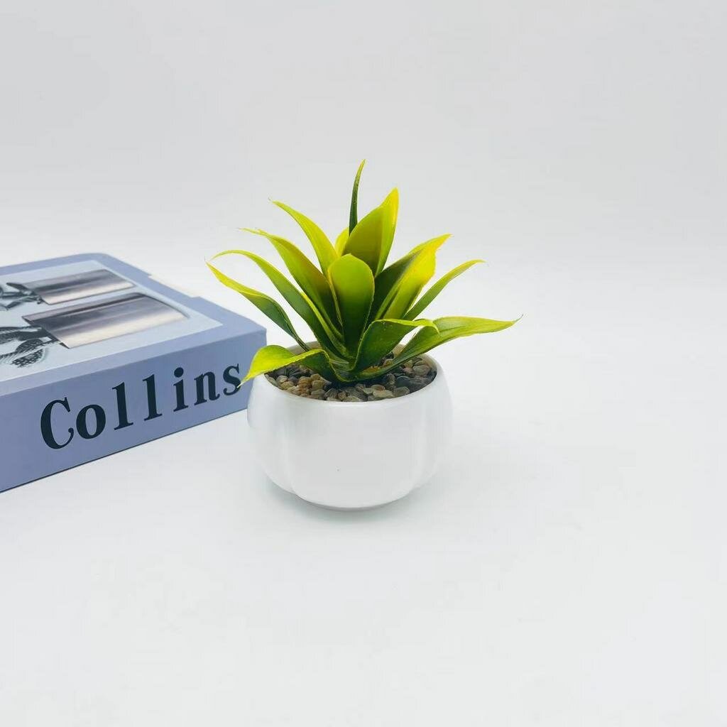 Флорариум декоративный суккулентный с разными цветами для оформления дома событие фотозона желтый