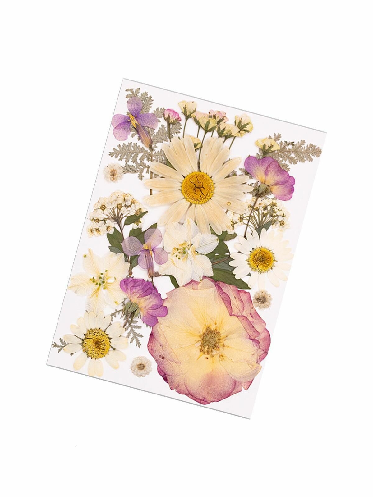 Стабилизированныецветы,1 упаковка из 20 штук, серия Qiusheng, закладка с тиснением в виде сушеного цветка, материал ручной работы, листовая этикетка, материал упаковки-B