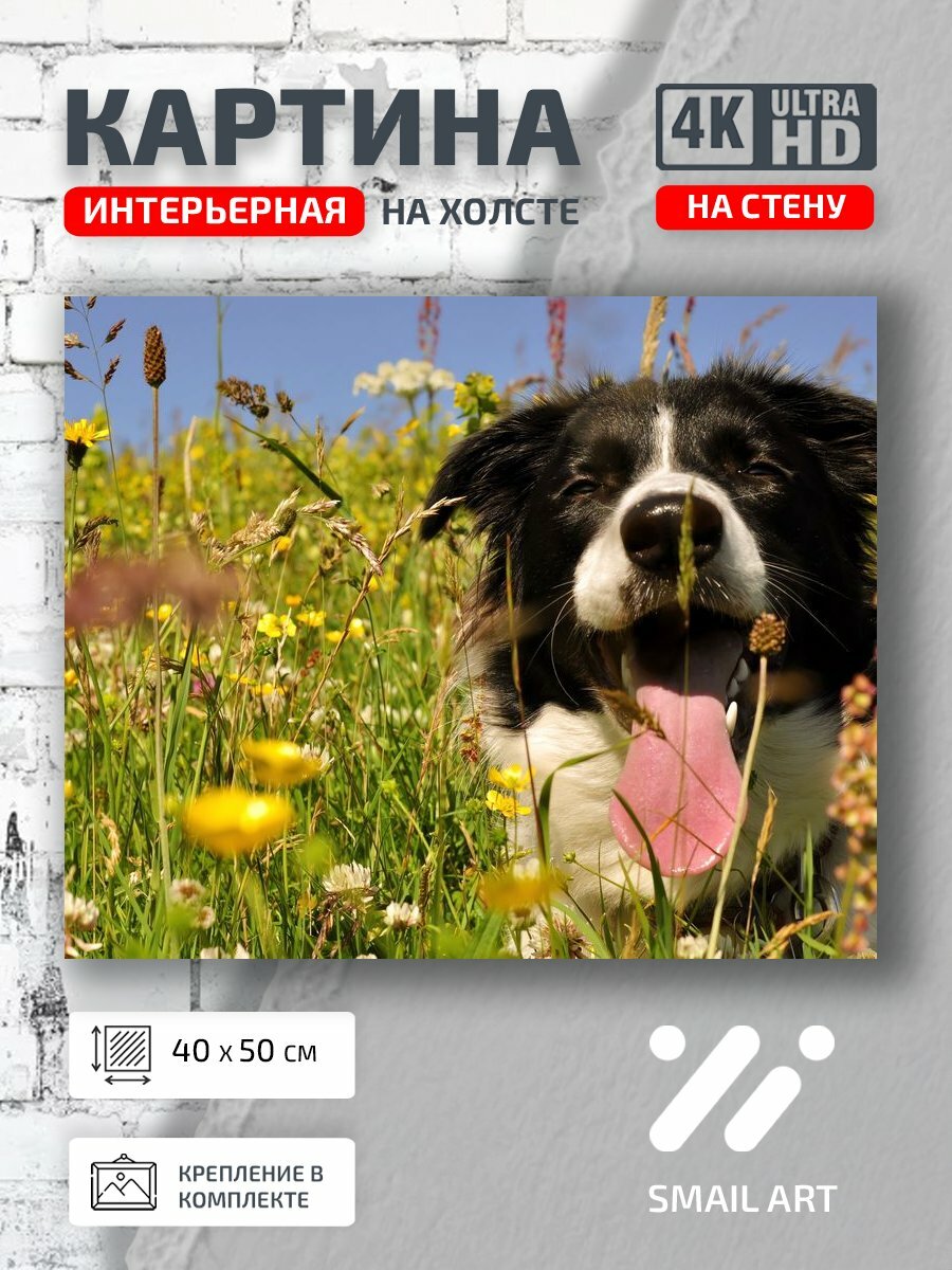 Картина на холсте интерьерная 40 на 50 на стену Траве Animal для кафе animal style интерьер