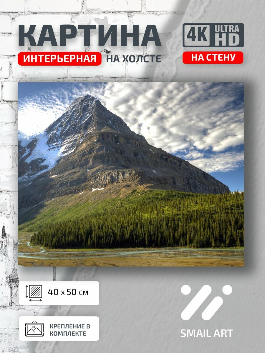Картина на холсте интерьерная 40 на 50 на стену Гора Landscape для кафе пейзаж интерьер