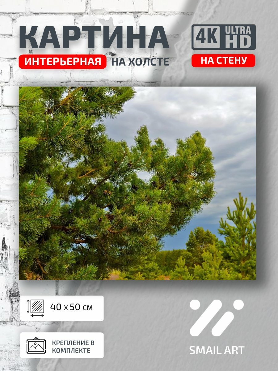Картина на холсте интерьерная 40 на 50 на стену Небо Landscape для спальни пейзаж интерьер