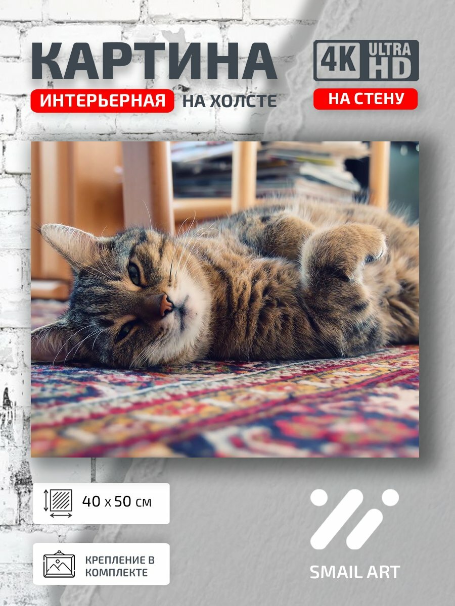 Картина на холсте интерьерная 40 на 50 на стену Нежится Animal для детской animal style