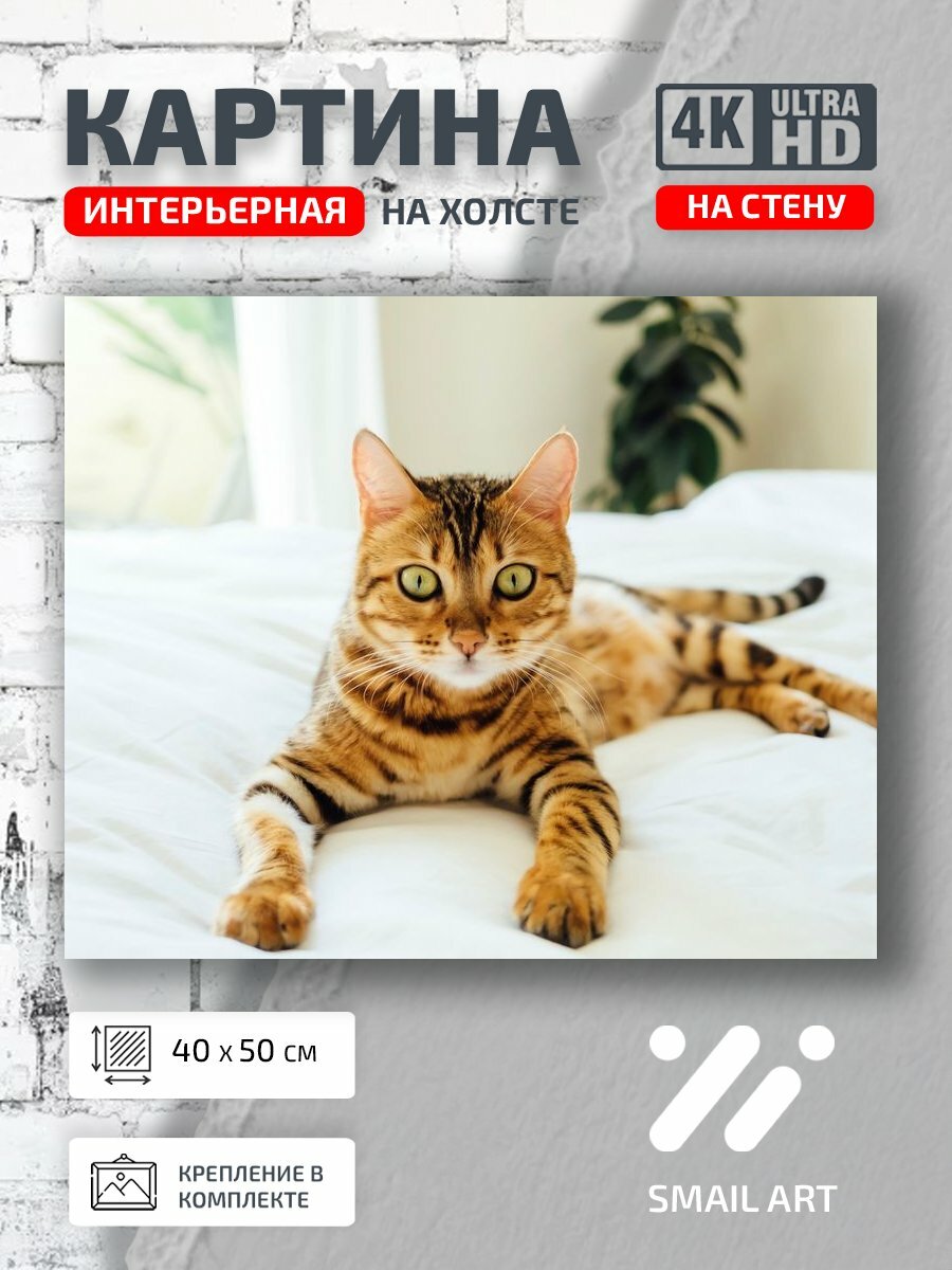 Картина на холсте интерьерная 40 на 50 на стену Постель Animal для кабинета animal style