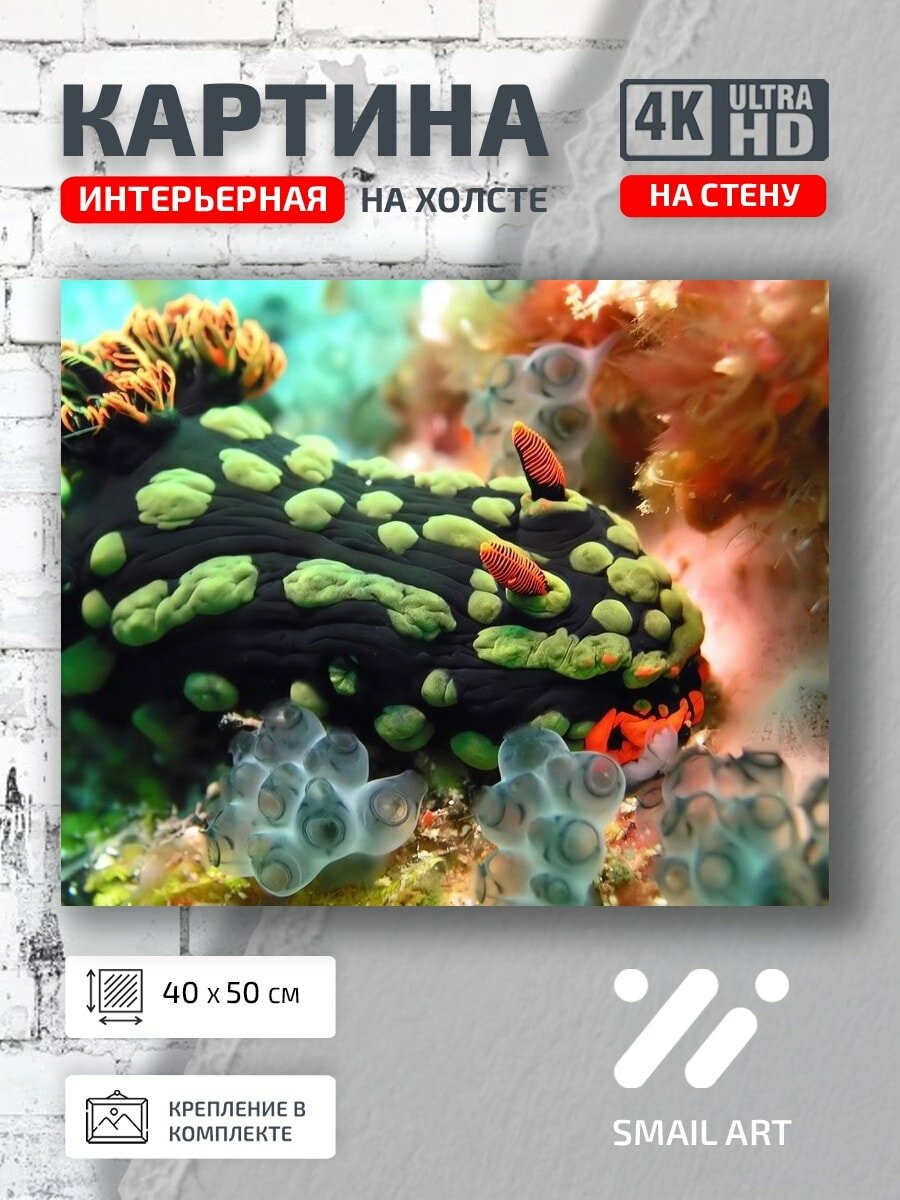 Картина на холсте интерьерная 40 на 50 на стену Голожаберные моллюски для гостиной атмосфер