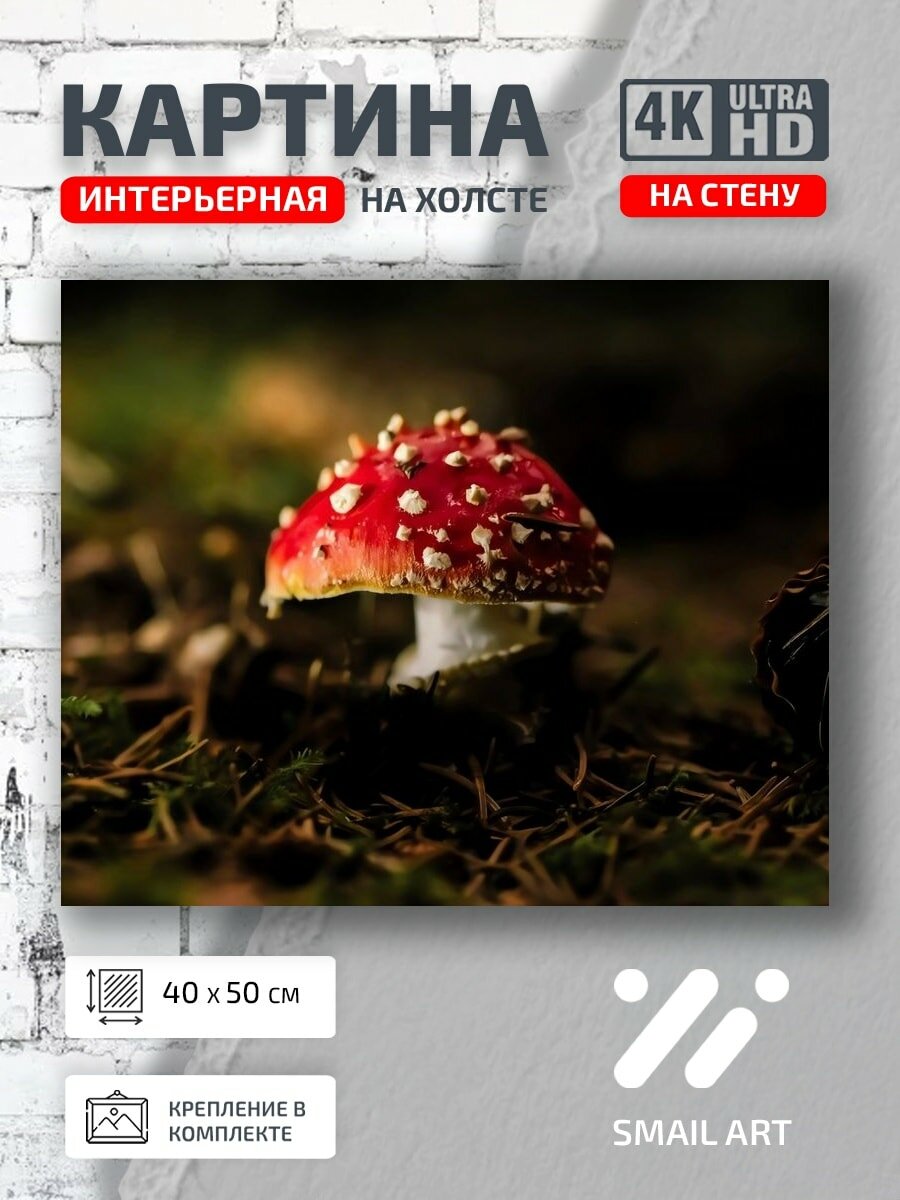 Картина на холсте интерьерная 40 на 50 на стену гриб осень для спальни пейзаж