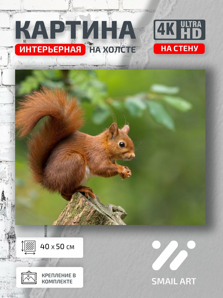 Картина на холсте интерьерная 40 на 50 на стену Белка Landscape для кафе пейзаж интерьер