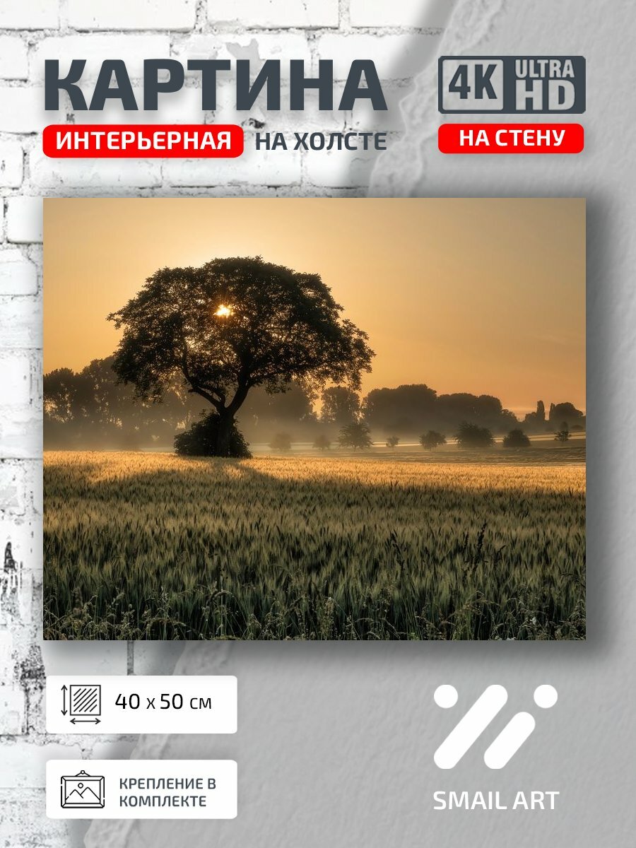 Картина на холсте интерьерная 40 на 50 на стену Туман Landscape для спальни пейзаж интерьер