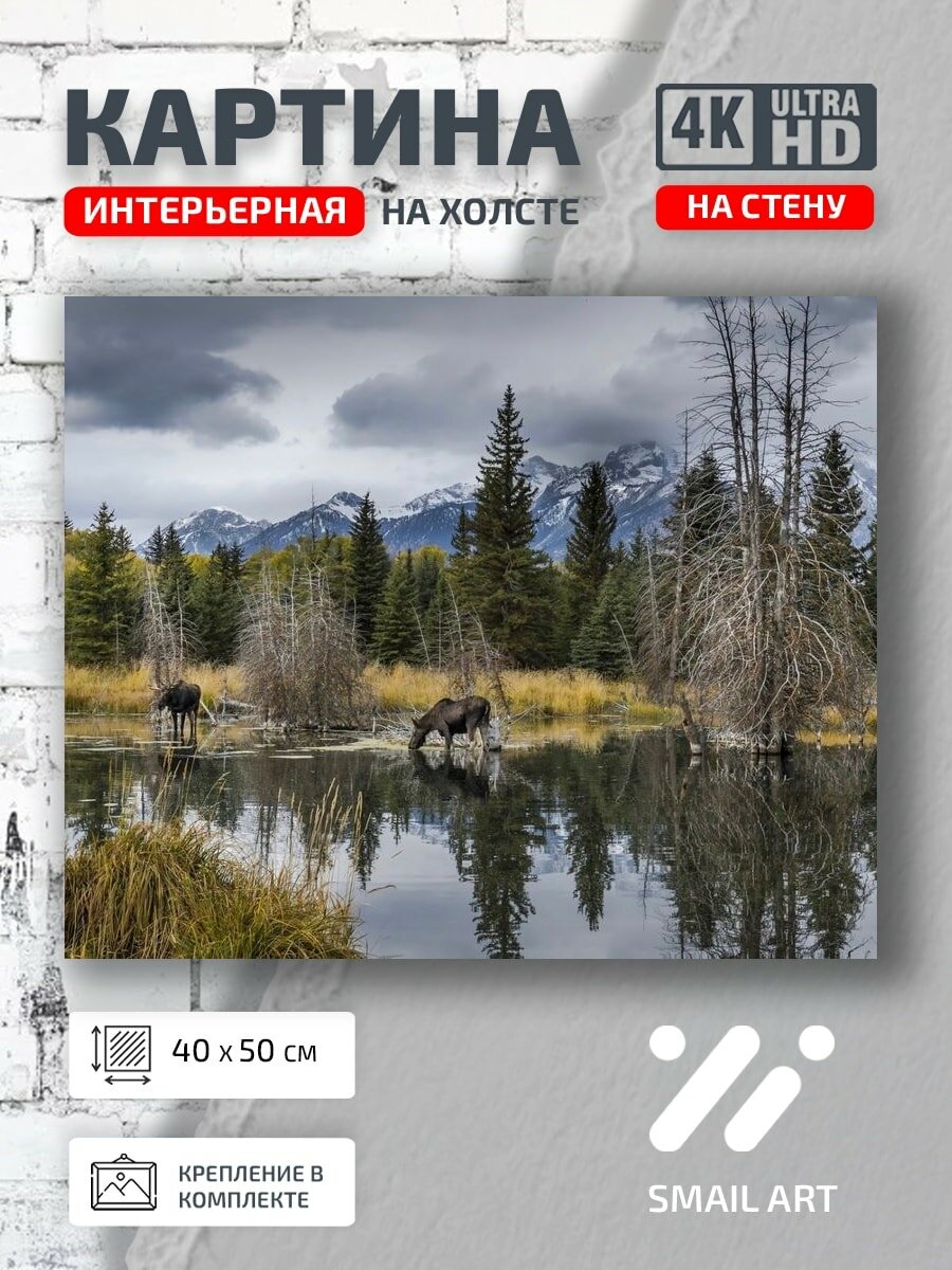 Картина на холсте интерьерная 40 на 50 на стену Nat. Park для кафе пейзаж