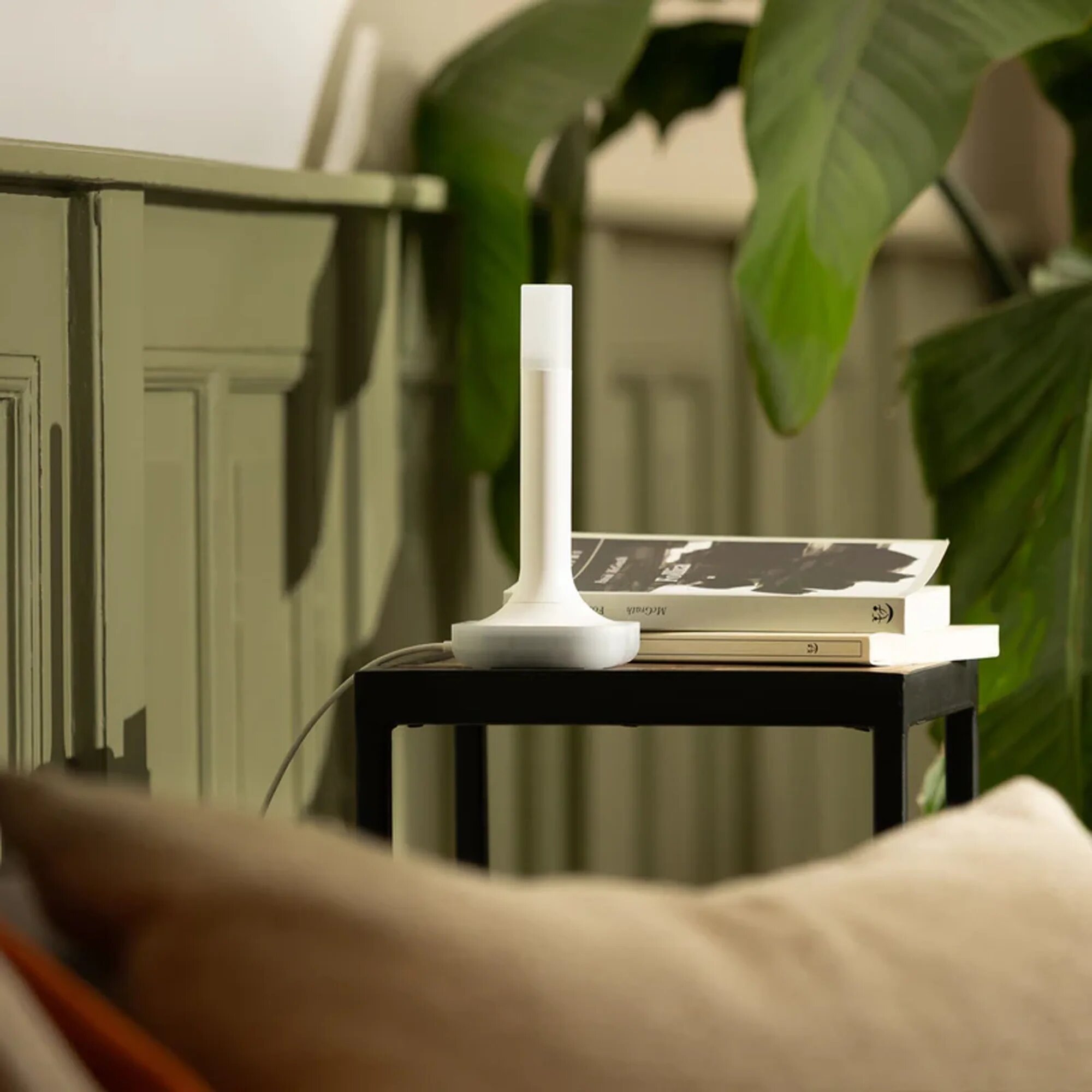 Home Assistant Connect ZBT-2 — фото 1