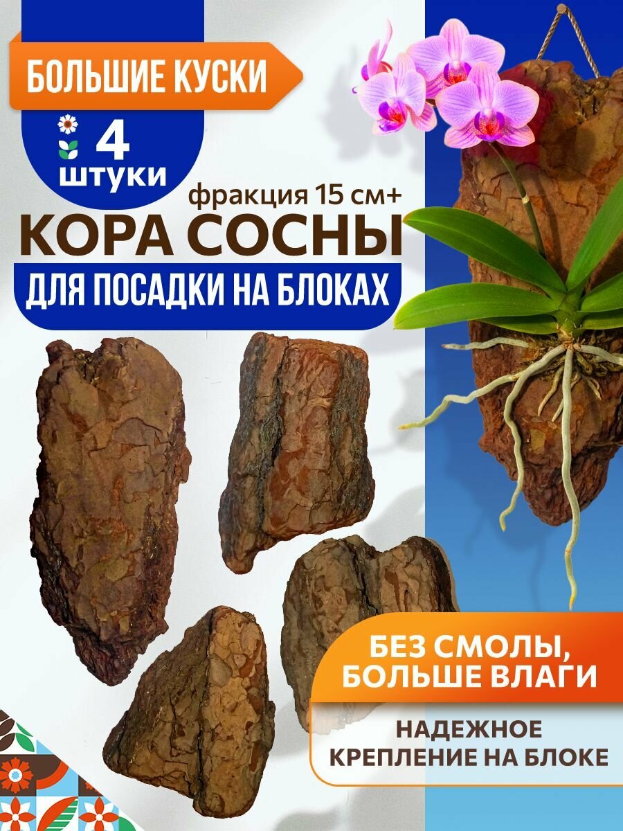 Кора сосны, фракция 15+ см, 4 штуки для посадки на блоках