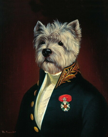 Плакат, постер портрет собаки вест Хайленда в мундире на бумаге, размер 30х42см