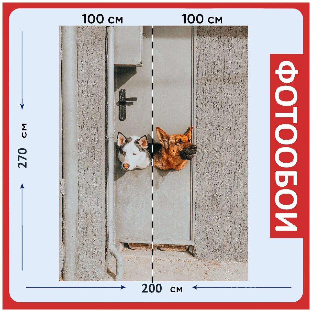 Фотообои "Веселье, собака, животное" 200x270 см. флизелиновыена стену