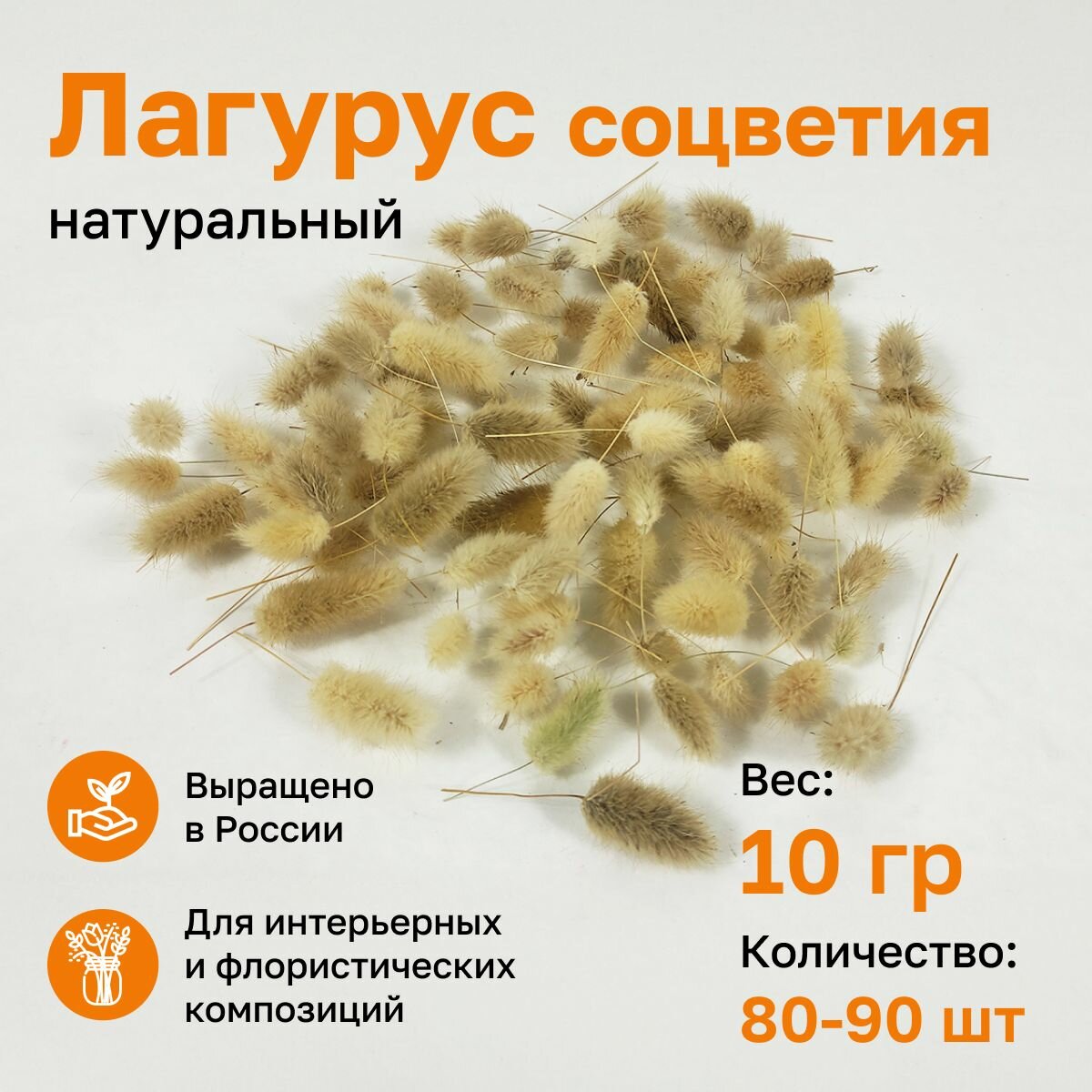 Сухоцветы для декора лагурус соцветия 10 г ( 80-90 шт)