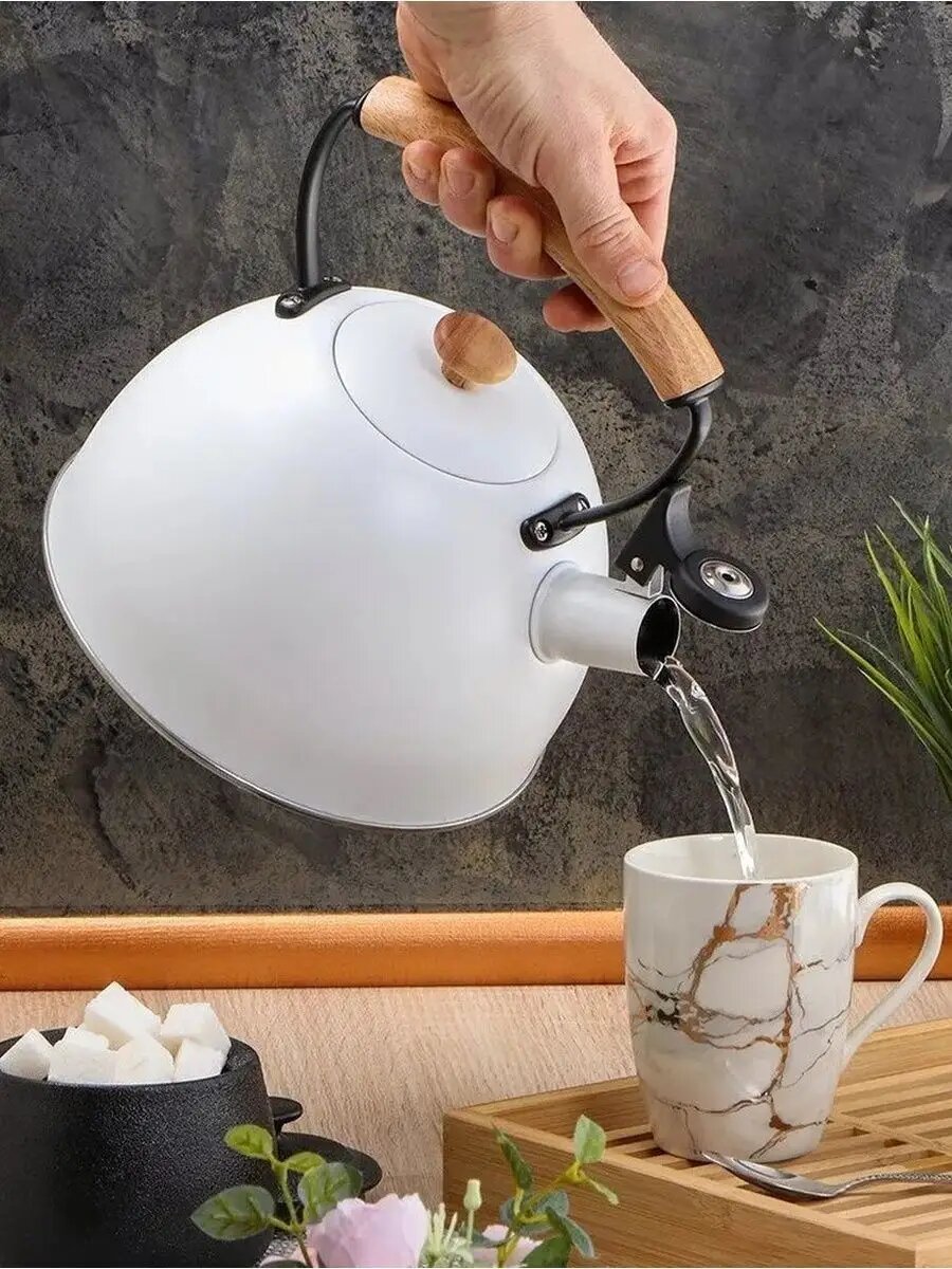 Чайник нержавеющая сталь