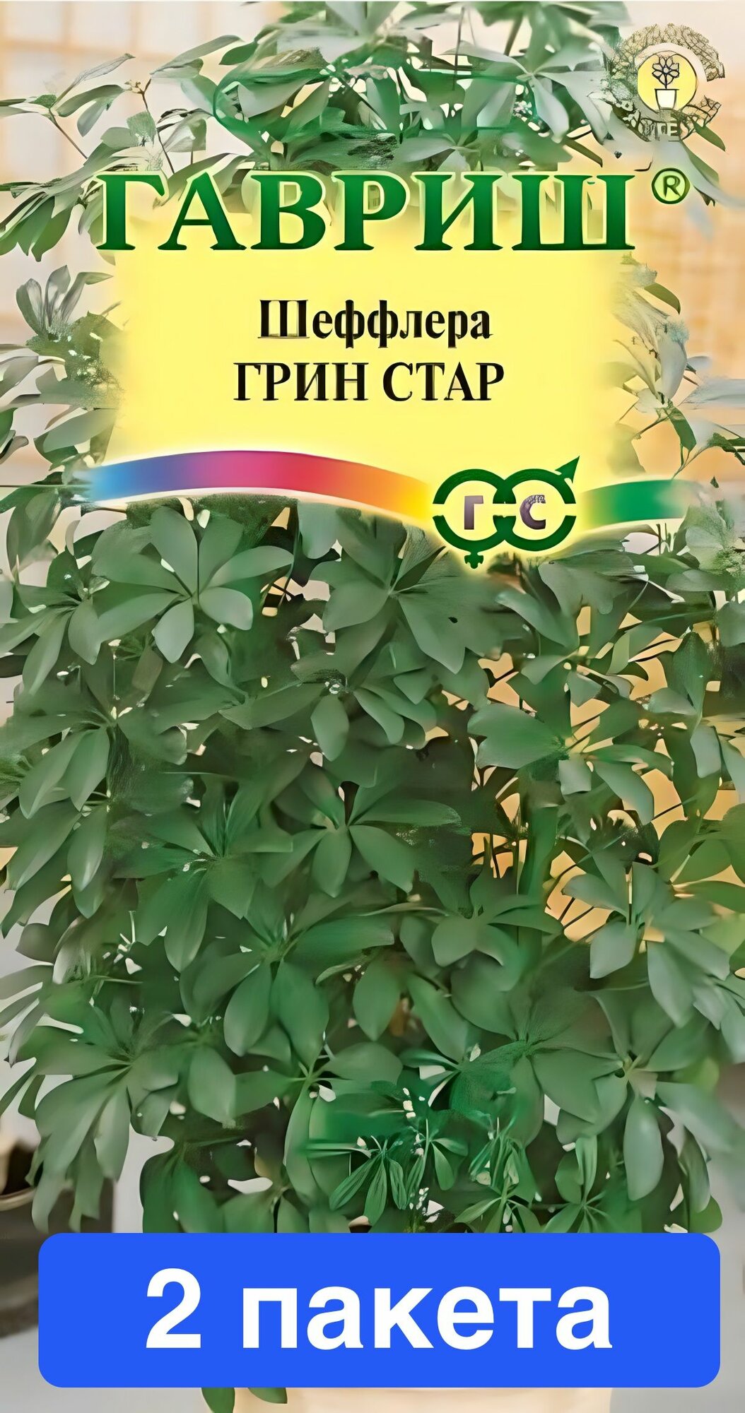 Семена цветов Гавриш "Шеффлера Грин Стар", 3 шт. 2 пакета