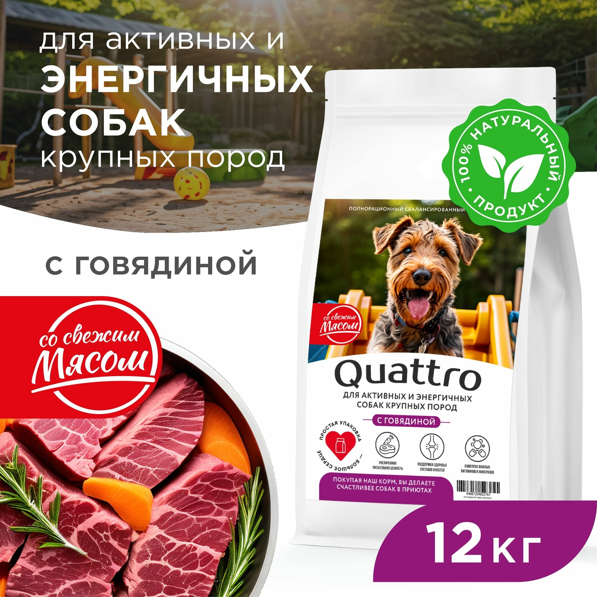 Корм сухой для взрослых собак крупных пород, премиум полнорационный комплекс, для активных и энергичных собак, с говядиной, 12 кг, QUATTRO