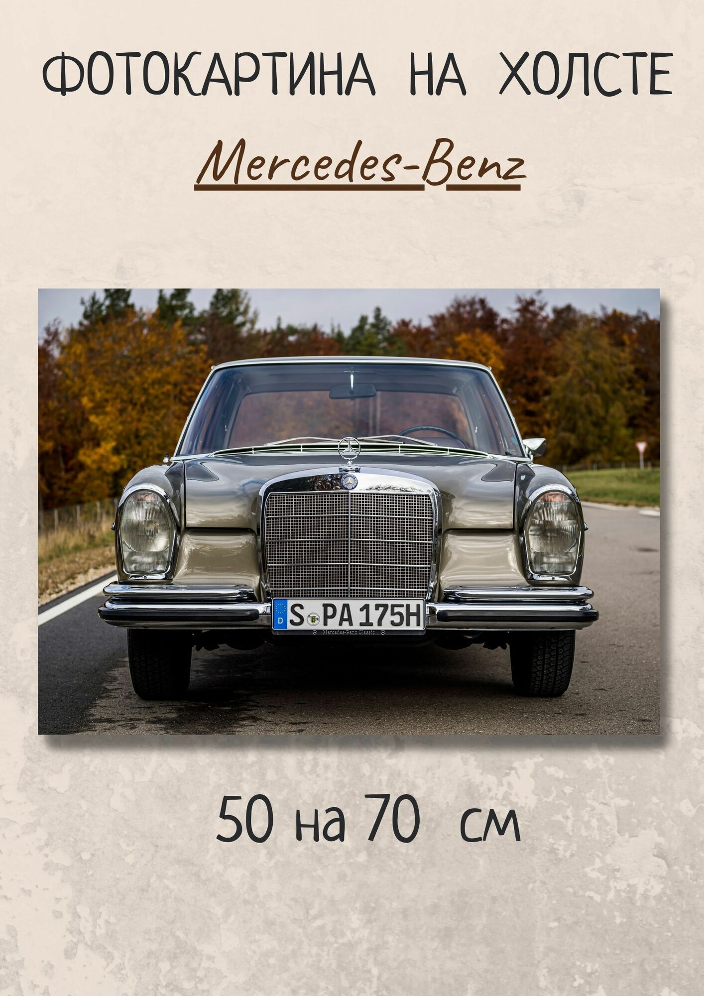 Картина на стену "Автомобиль Mercedes-Benz" 70 на 50 см