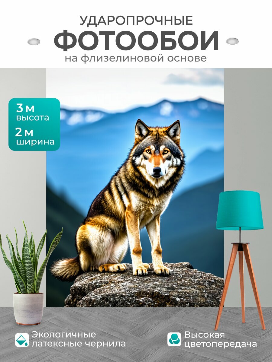 Фотообои моющиеся ударопрочные "Волк, сидящий на скале с видом на горы" 200x300 см. флизелиновые на стену