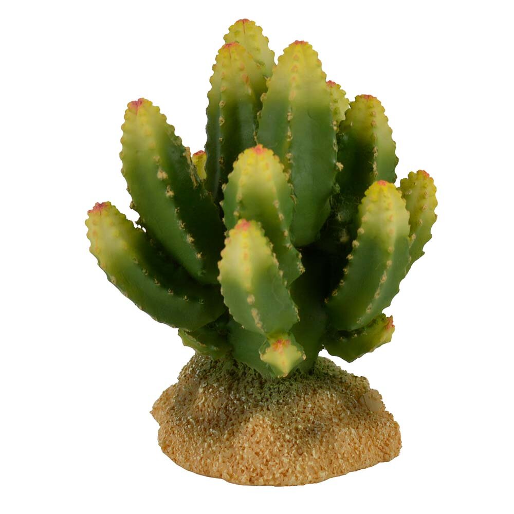 Растение пластиковое Gloxy Стапелия, 6х6,5х8 см