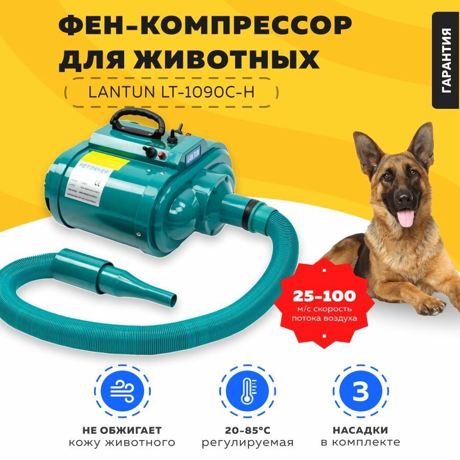 Фен компрессор для собак и кошек с обогревом и регулировкой мощности 3600 Вт, Lantun LT-1090C-H Green / двухмоторный, 3 насадки в комплекте