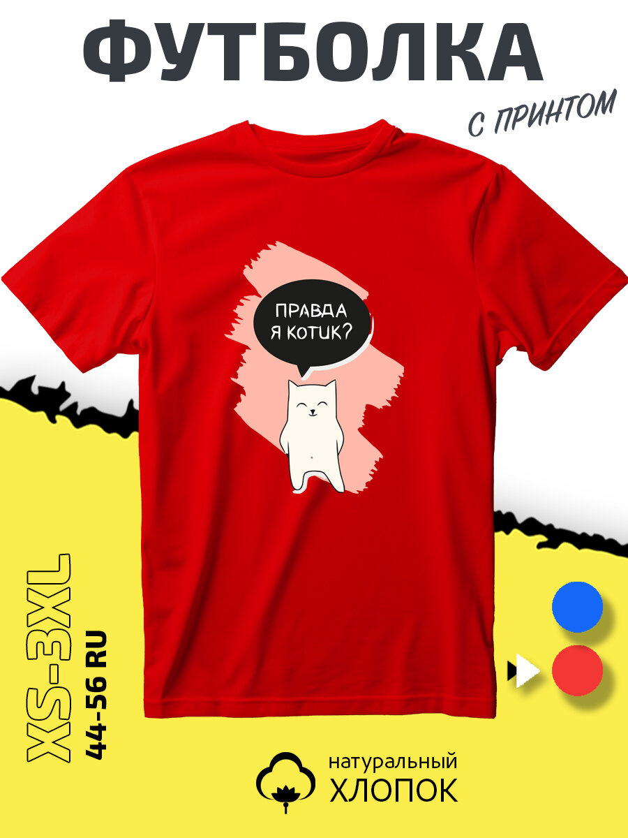 Футболка с принтом кот правда я котик