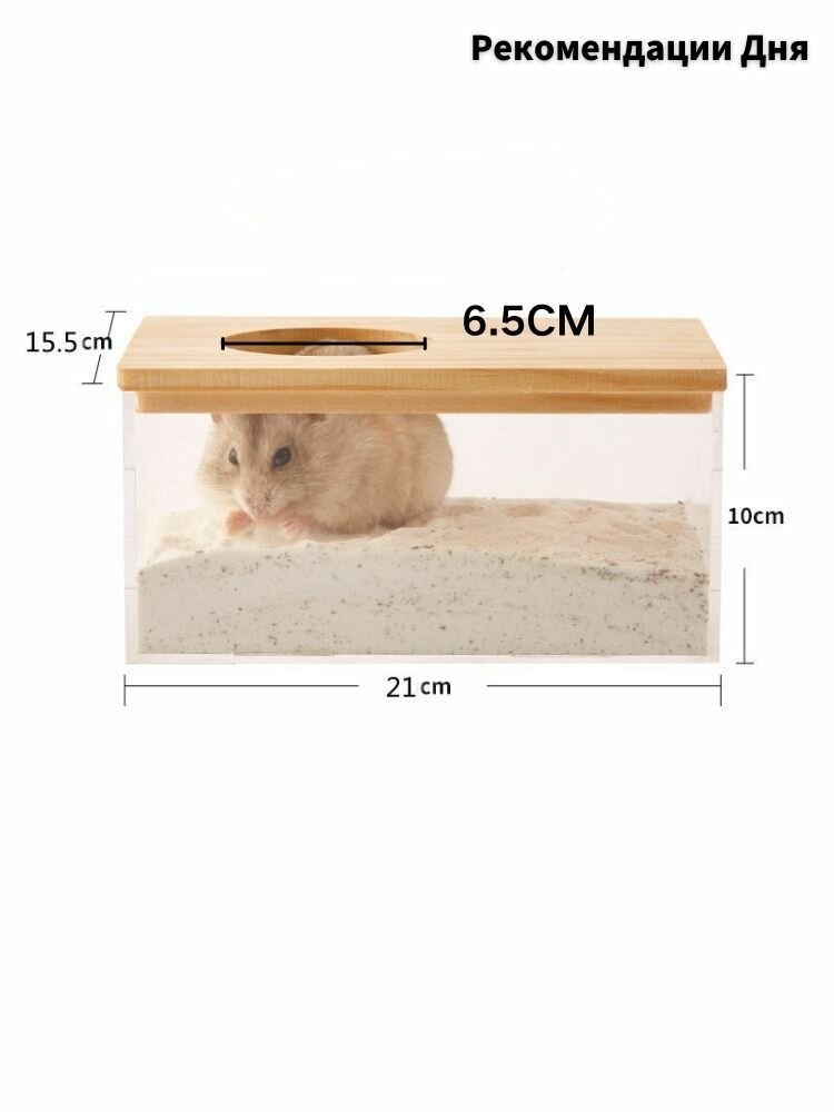 Купалка для мелких грызунов/Домик для хомяков, Бесплатная лестница для хомяка