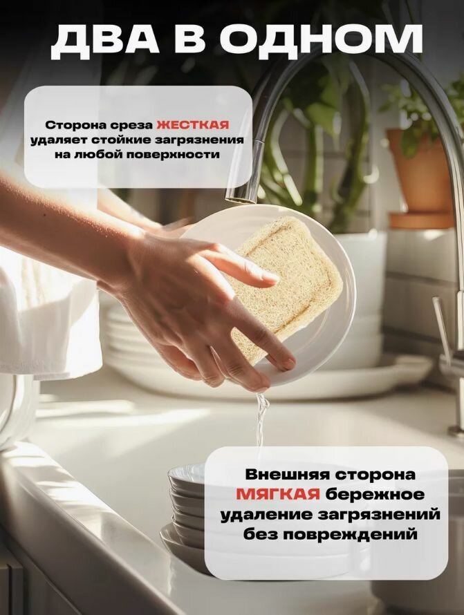 Губка — фото 1
