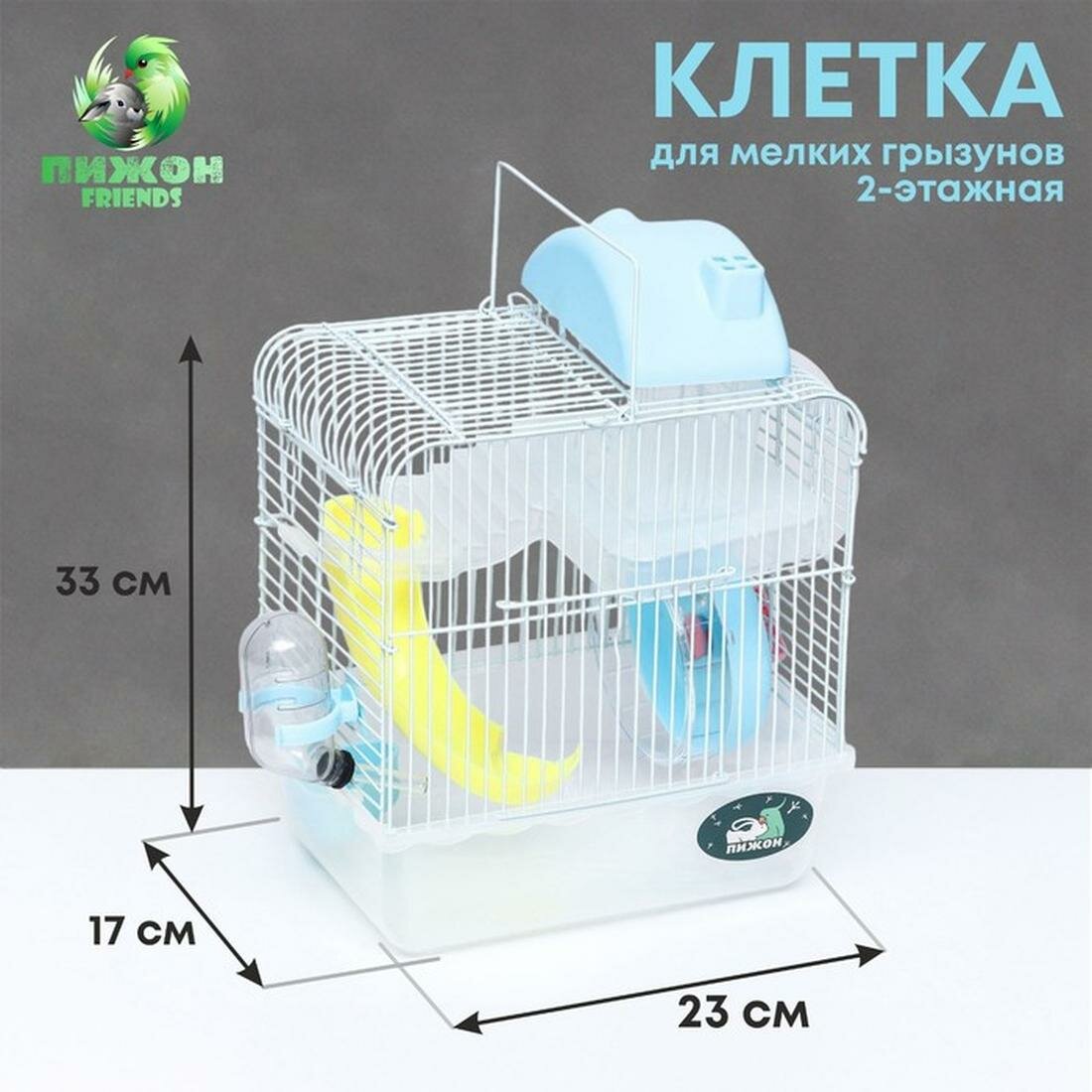 Клетка для грызунов "Пижон", 23 х 17 х 33 см, прозрачная, голубое наполнение