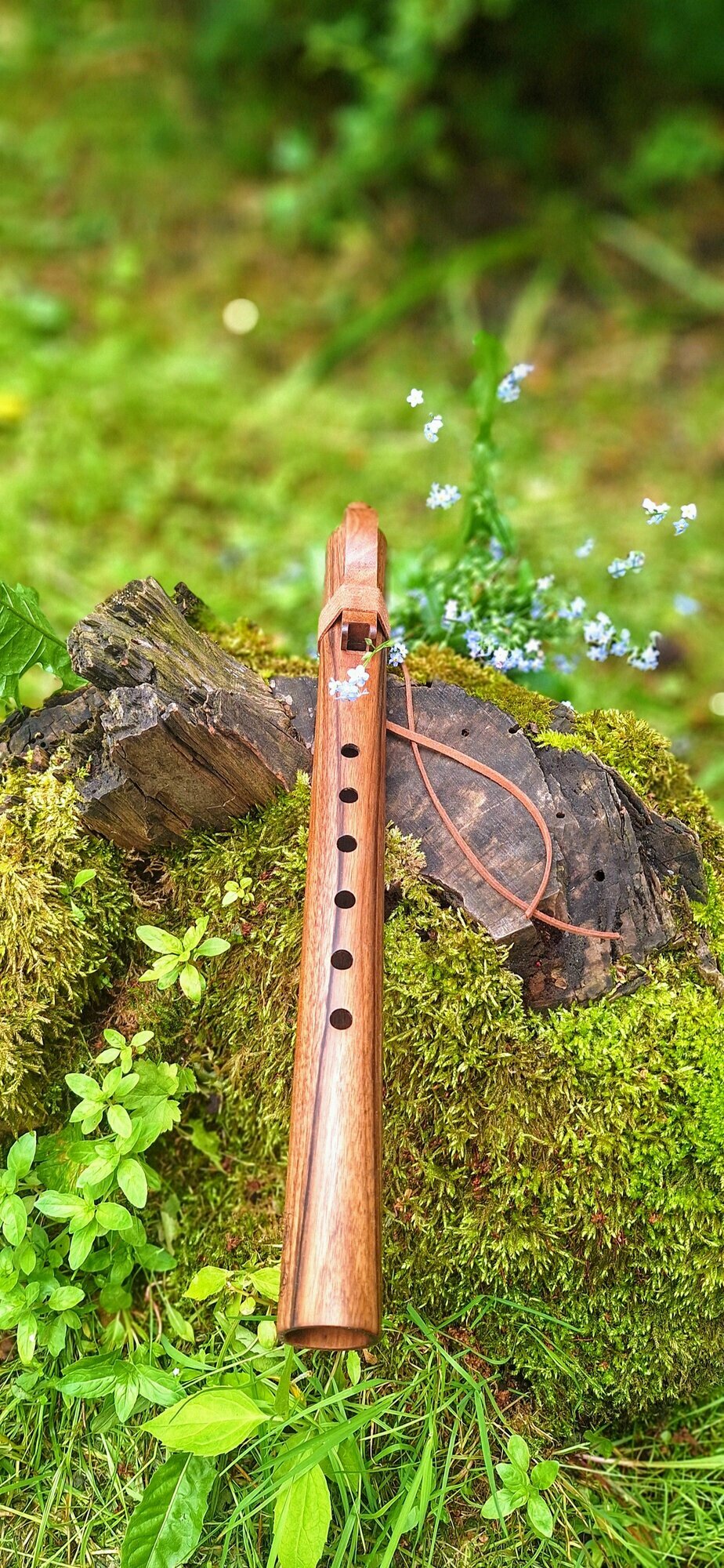 Пимак Орех Ля