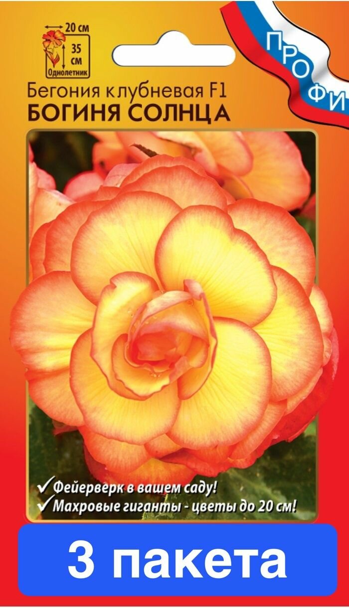 Семена Бегония клубневая F1 Богиня Солнца 3 пакета