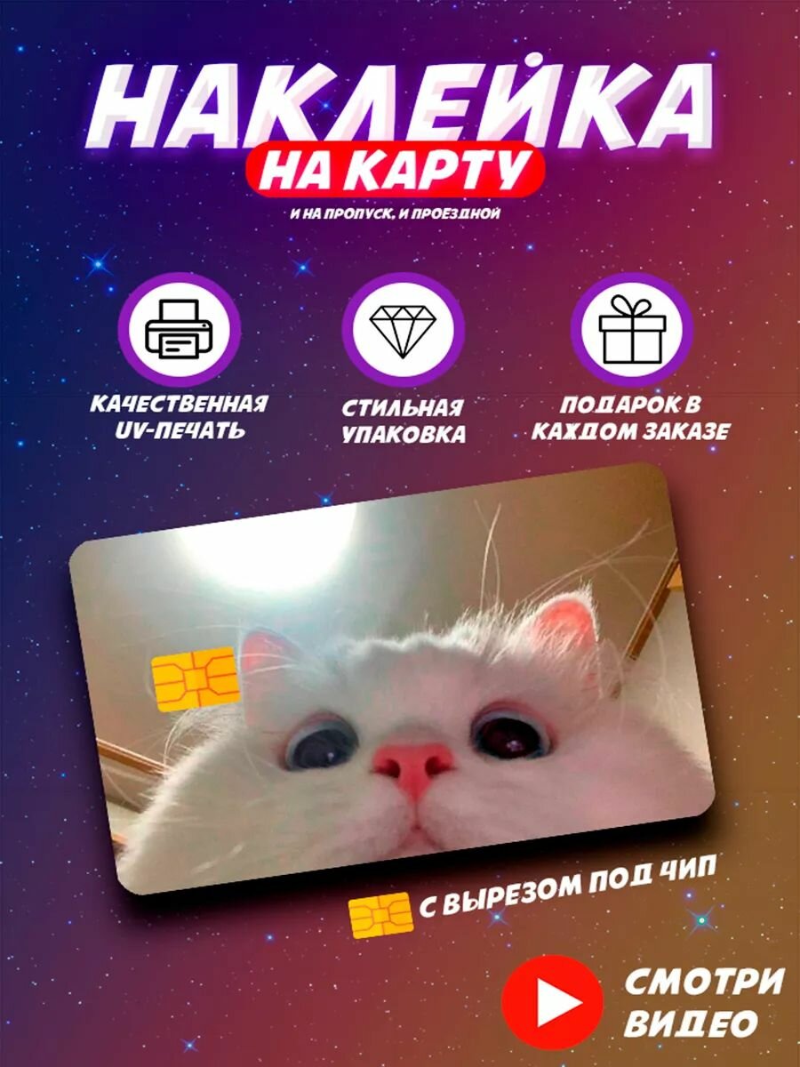 Наклейка на карту котик