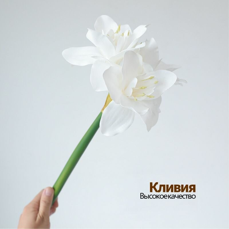 Искусственные цветы, Кливия, 4 стебля, 63cm