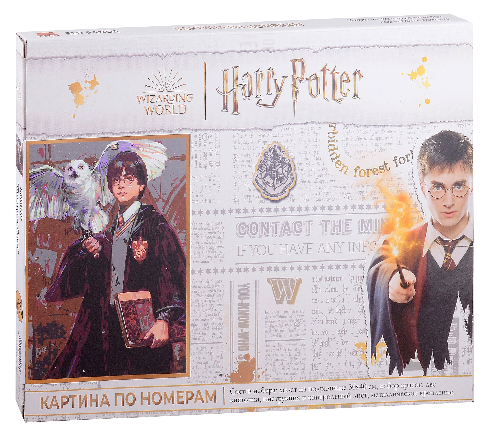 Картина-раскраска по номерам «Поттер и Сова», 30 х 40 см, Wizarding World