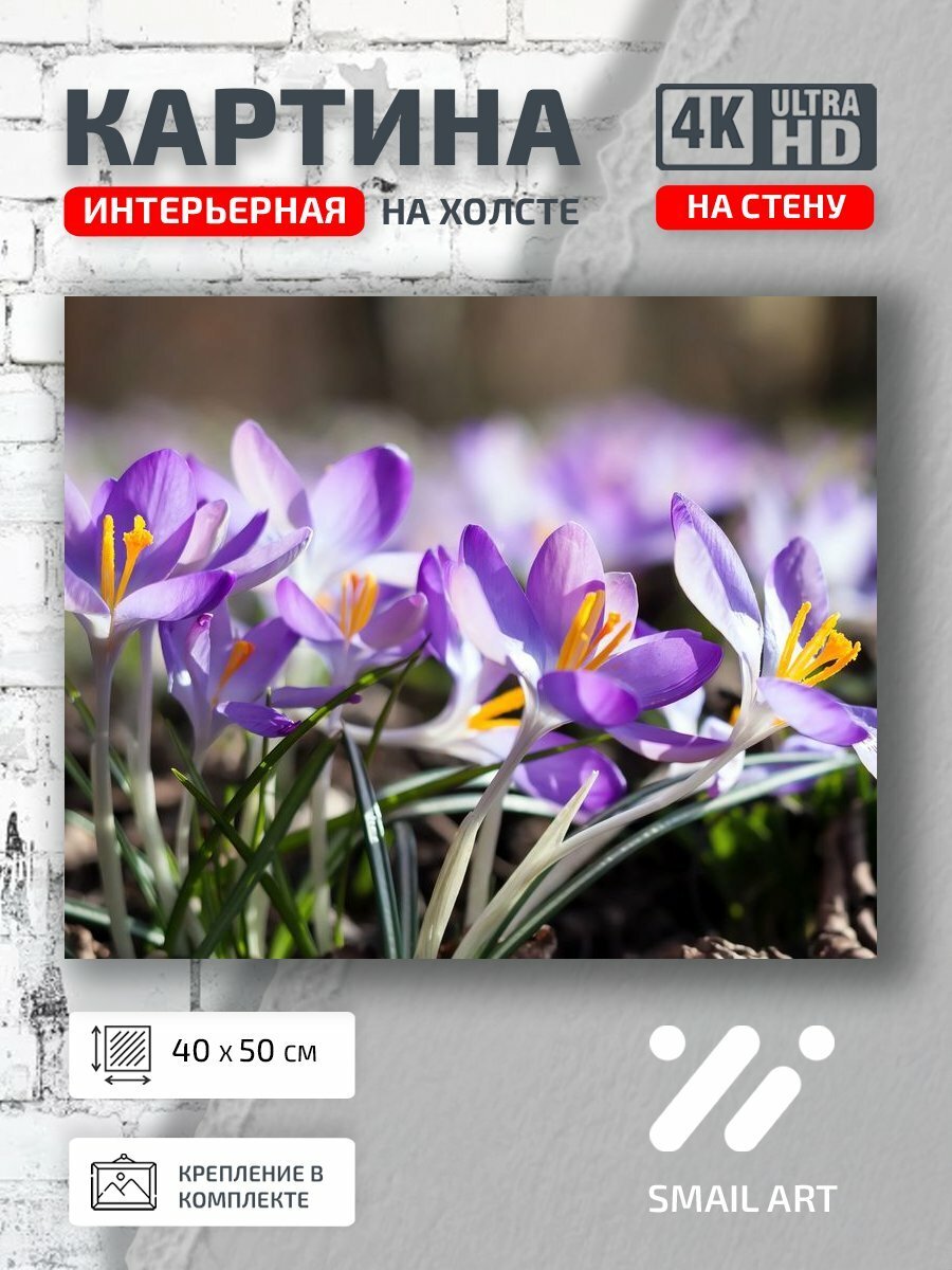 Картина на холсте интерьерная 40 на 50 на стену Поляна Mood для офиса атмосфера интерьер