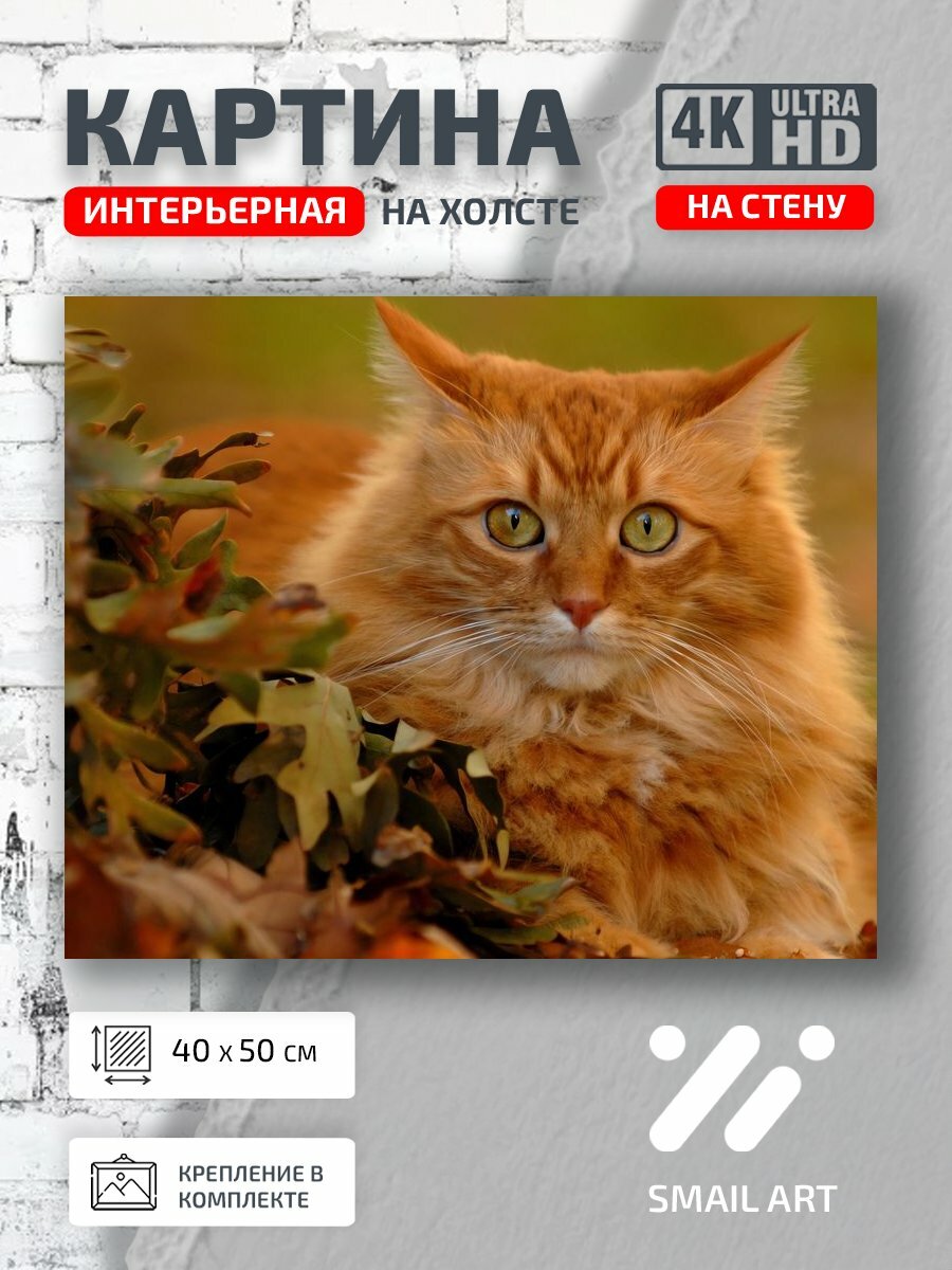 Картина на холсте интерьерная 40 на 50 на стену Рыжий Animal для детской animal style декор