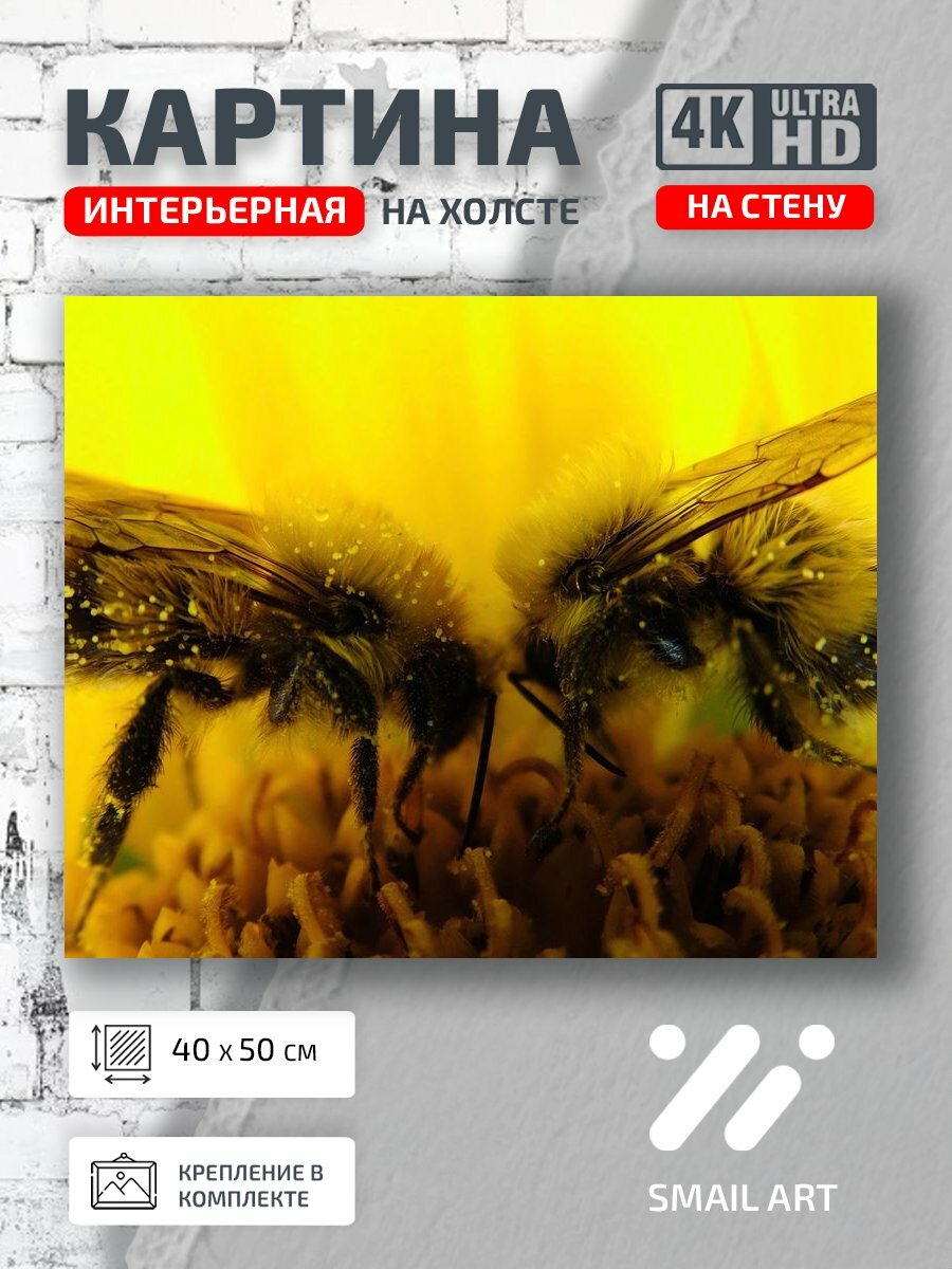 Картина на холсте интерьерная 40 на 50 на стену Весна Landscape для офиса пейзаж интерьер