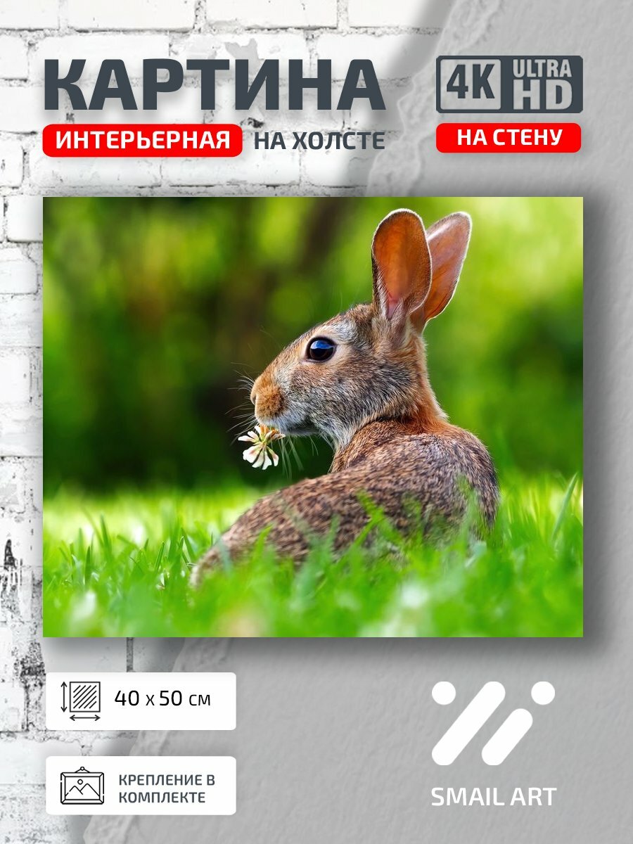 Картина на холсте интерьерная 40 на 50 на стену Глаза Animal для гостиной animal style