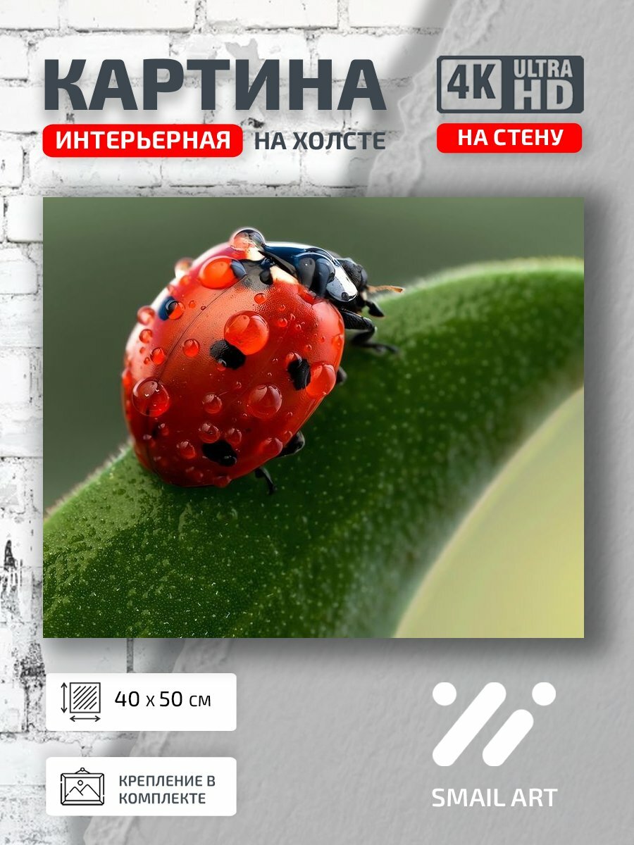 Картина на холсте интерьерная 40 на 50 на стену Лист Macro для спальни макро интерьер декор