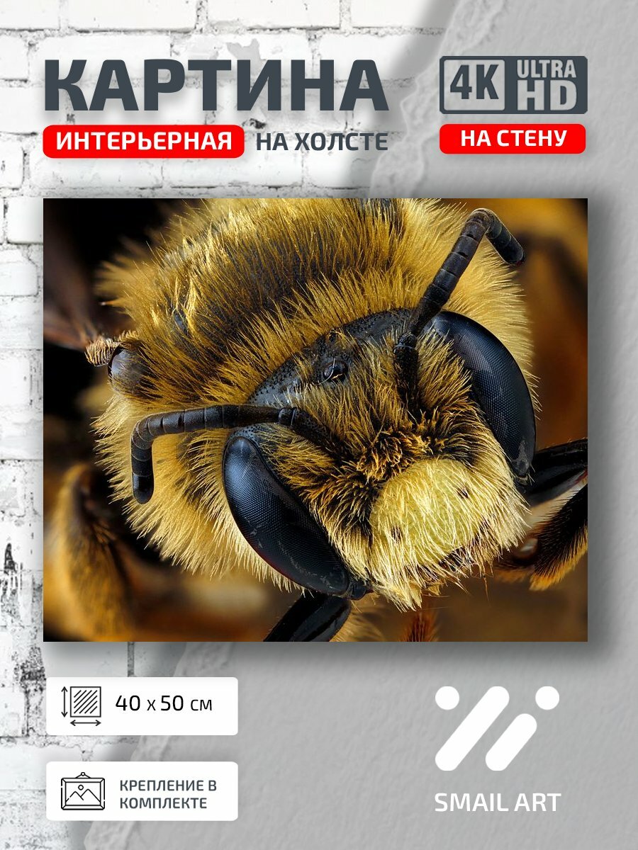 Картина на холсте интерьерная 40 на 50 на стену Глаза Landscape для кафе пейзаж интерьер