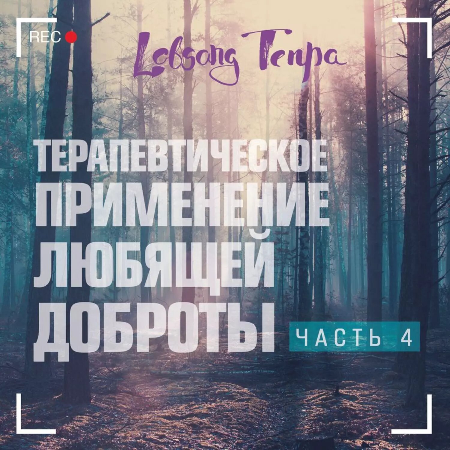 Терапевтическое применение практики любящей доброты. Часть 4 [Аудиокнига]