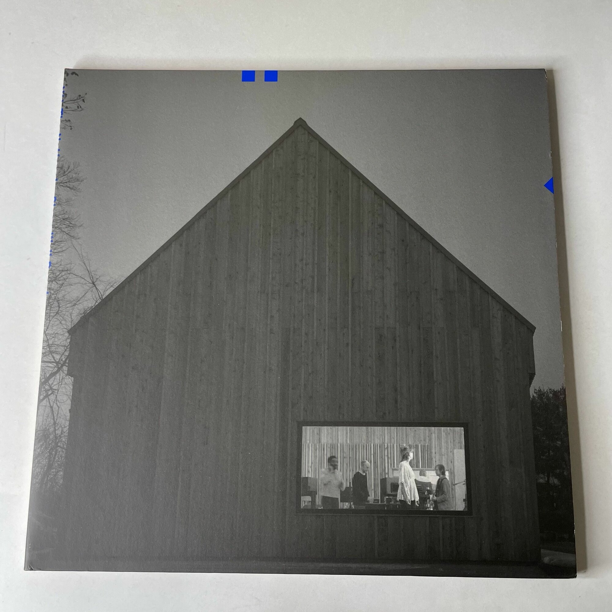 Виниловая пластинка LP The National Sleep Well Beast (США 2017)