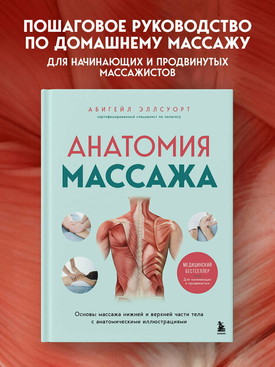 Эллсуорт А. Анатомия массажа. Основы массажа нижней и верхней части тела с анатомическими иллюстрациями